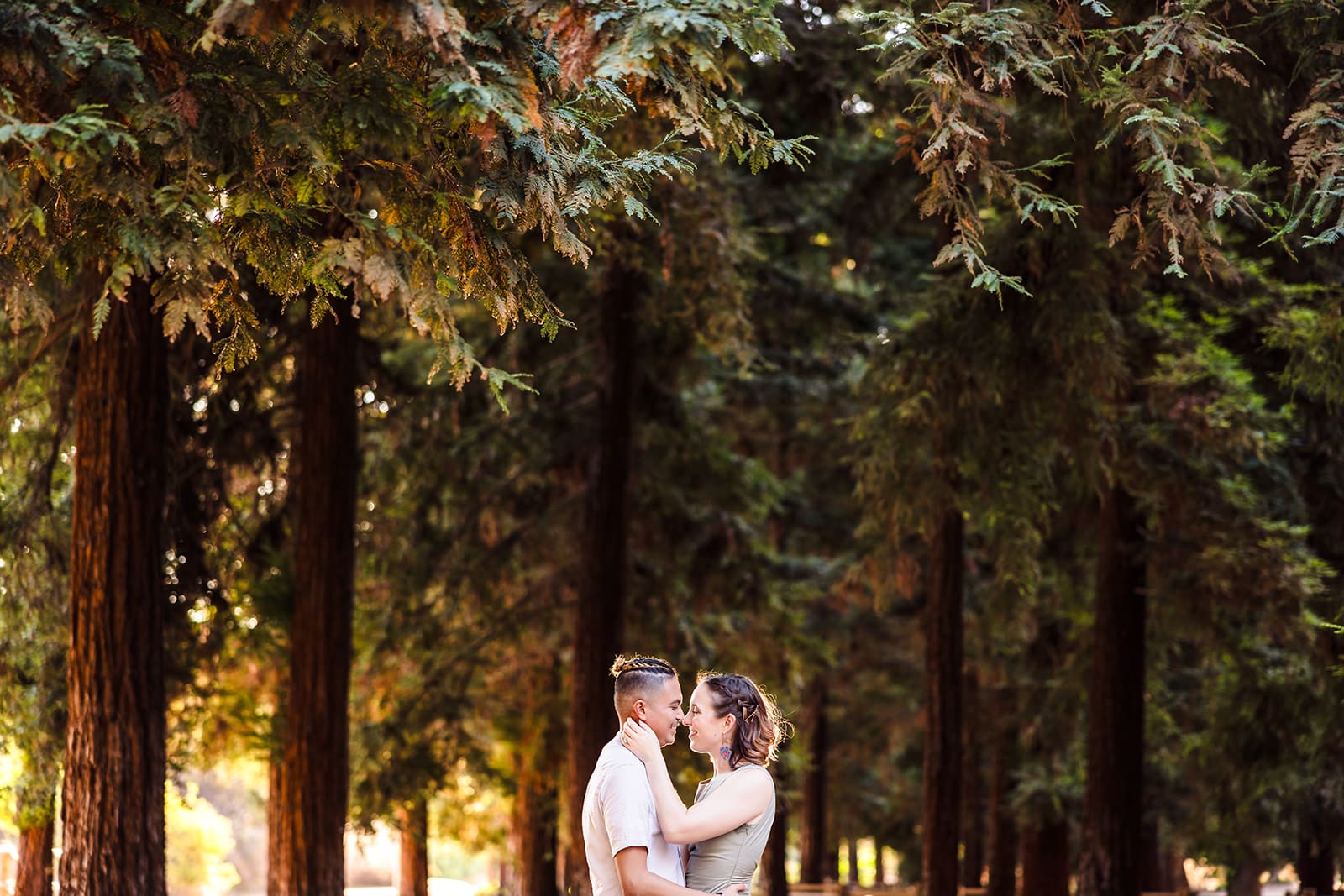 Orange County Engagement Session at a Hidden Redwood Grove ...